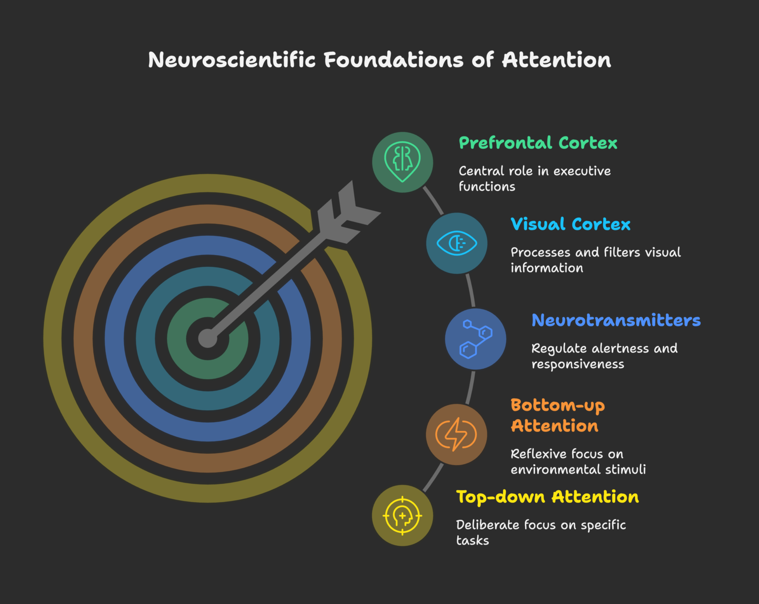The Attention Economy: Neuroscience Of Capturing And Maintaining Focus ...